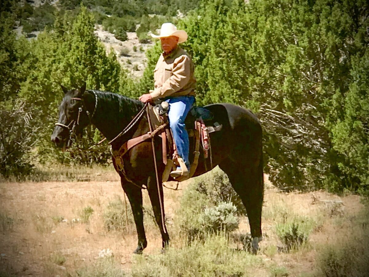 John Roper named 2024 King Cowboy | News, Sports, Jobs - Daily Herald